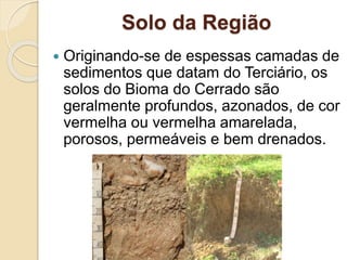 Bioma: Cerrado | PPTX