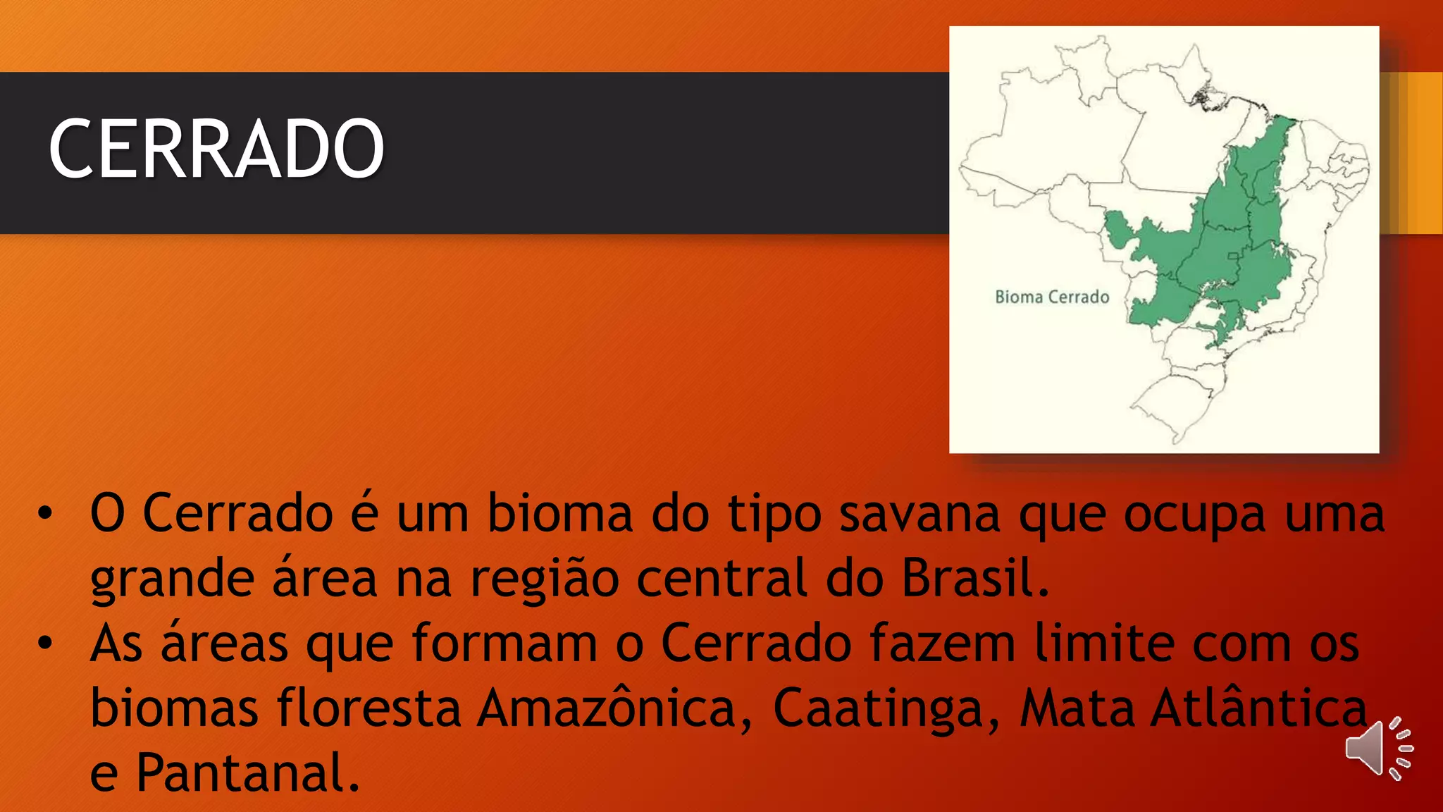 Cerrado Brasileiro.pptx