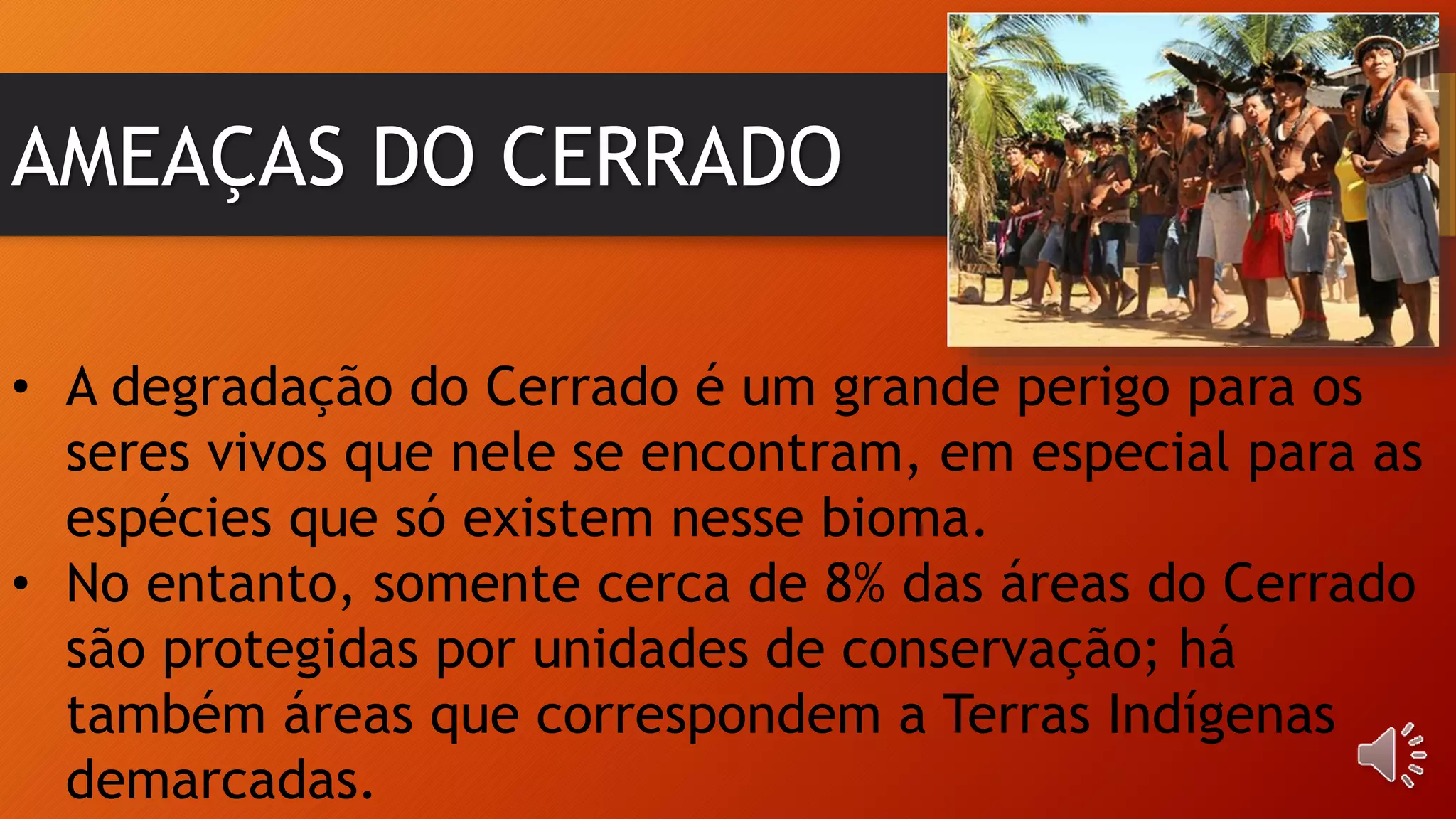 Cerrado Brasileiro.pptx