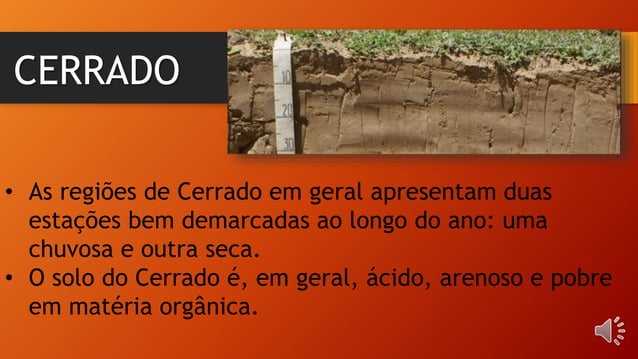 Cerrado Brasileiro.pptx