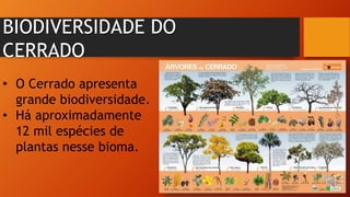 Cerrado Brasileiro.pptx