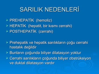 Cerrahi sariliklar | PPT
