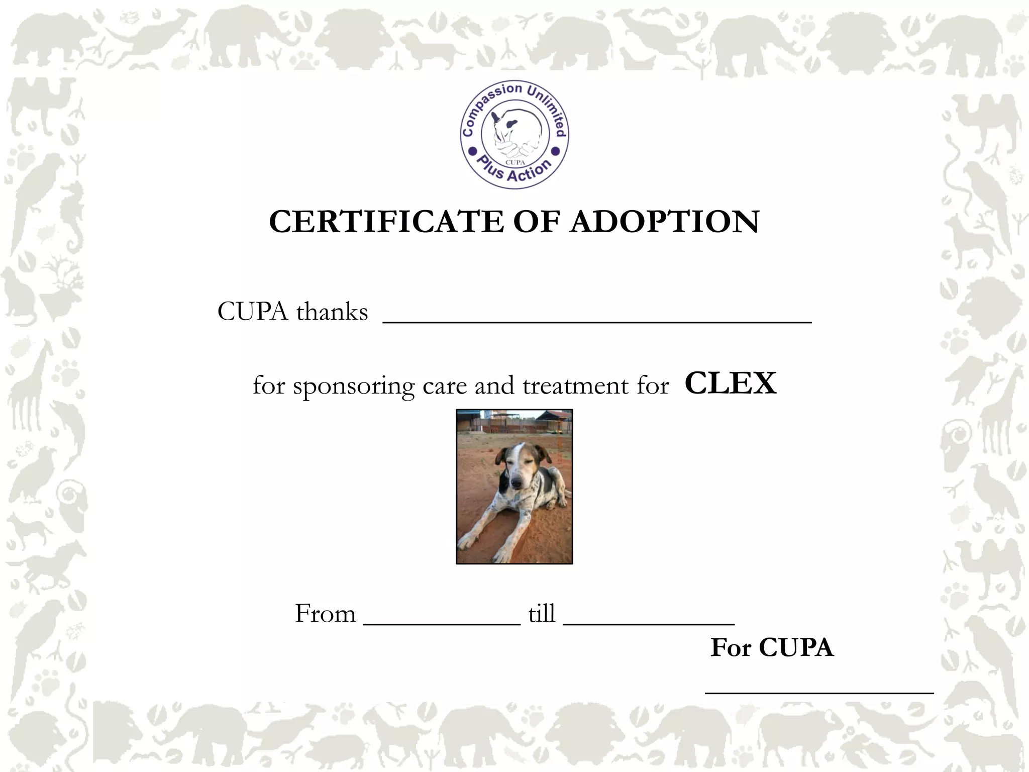 Cert 5 clex | PDF
