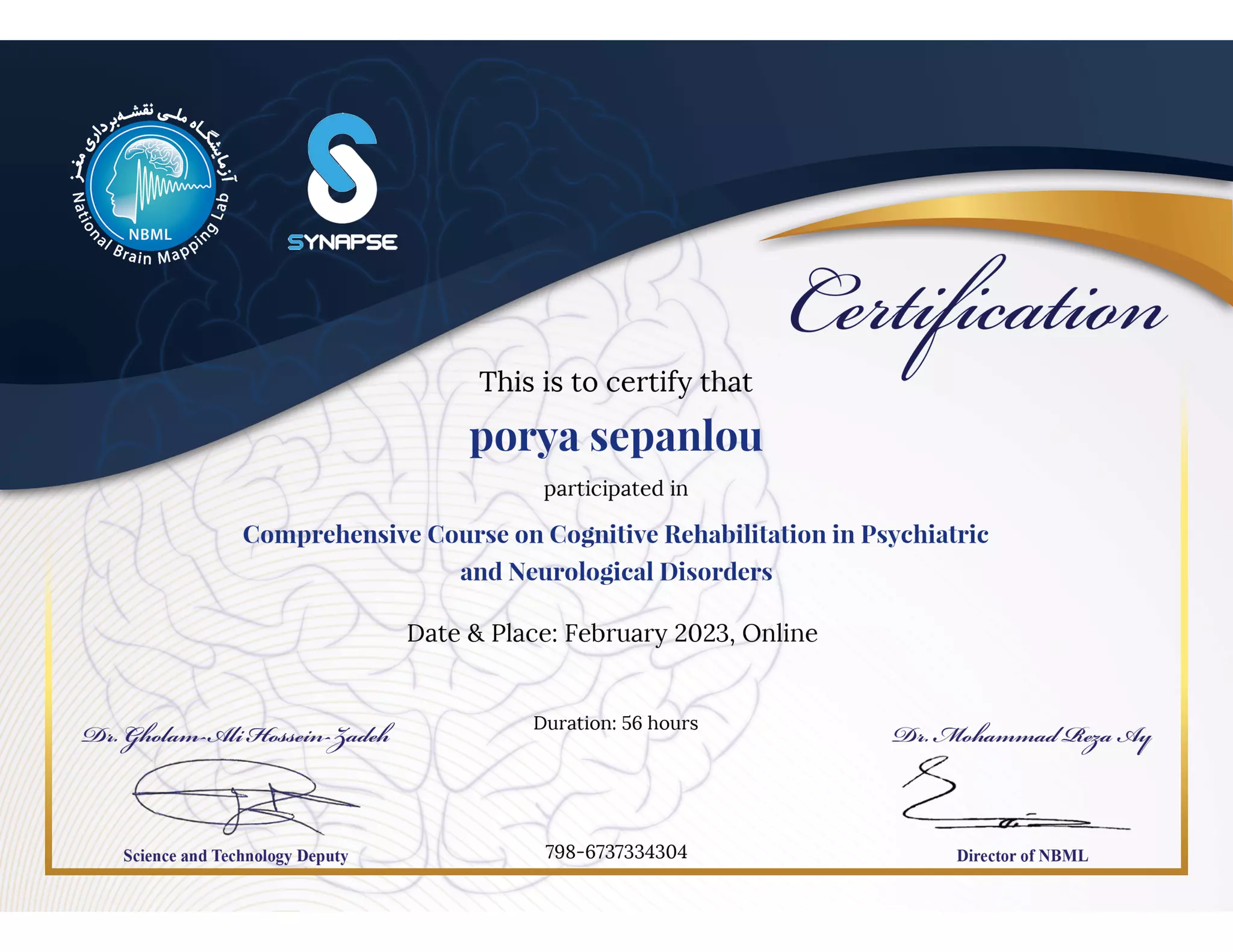 Comprehensive Course on Cognitive Rehabilitation in Psychiatric and ...