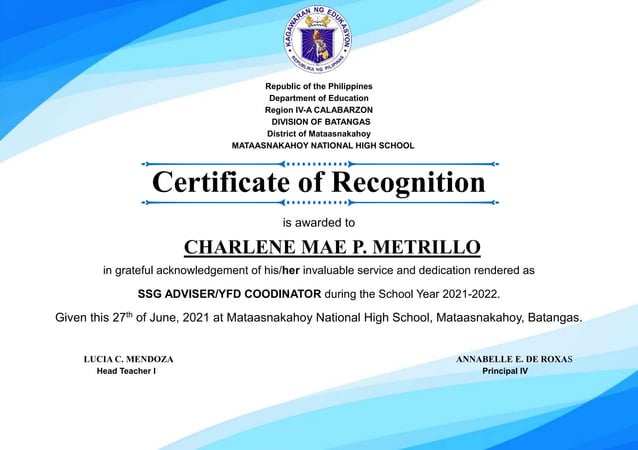 CERTIFICATE-COORDINATORSHIP certification of coordinatorship.docx | Professional School ...