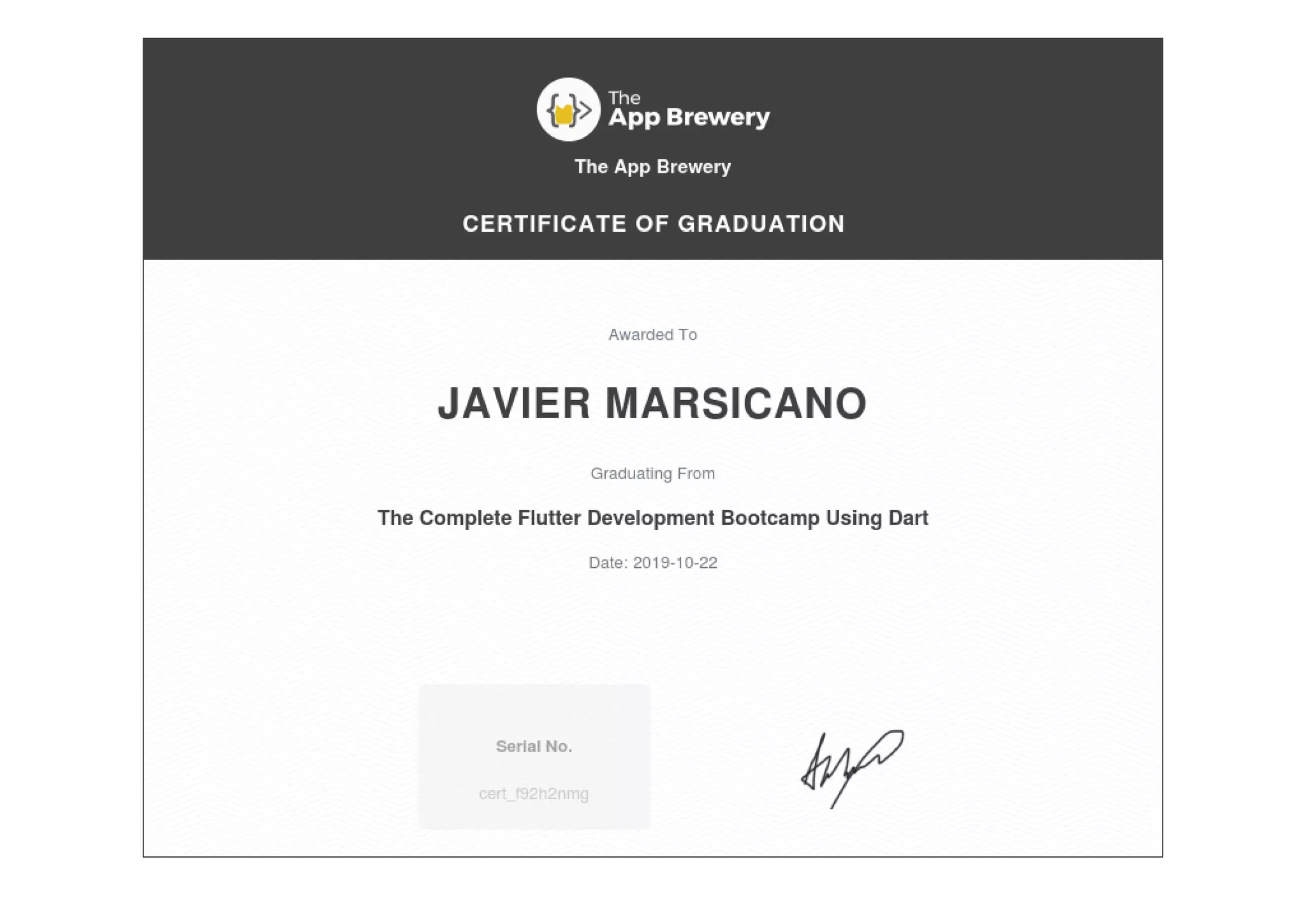 Flutter development bootcamp Certificate | PDF