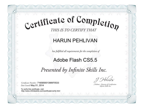 Adobe Flash CS5.5 | PPT