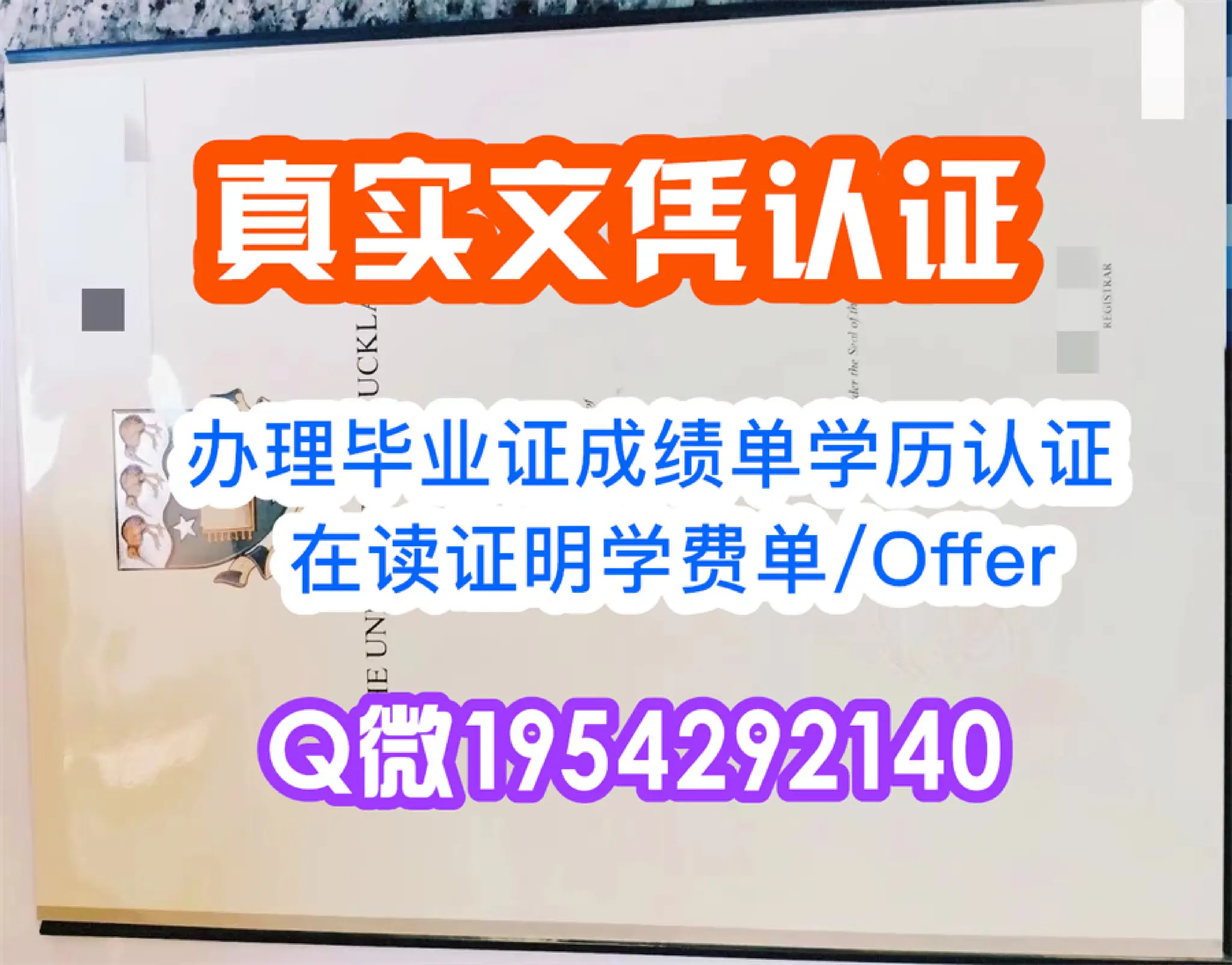 HHVG学位证,格罗宁根汉斯大学毕业证书1:1制作 | PDF