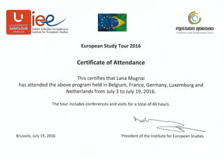 Certificate Mission Abroad | PDF