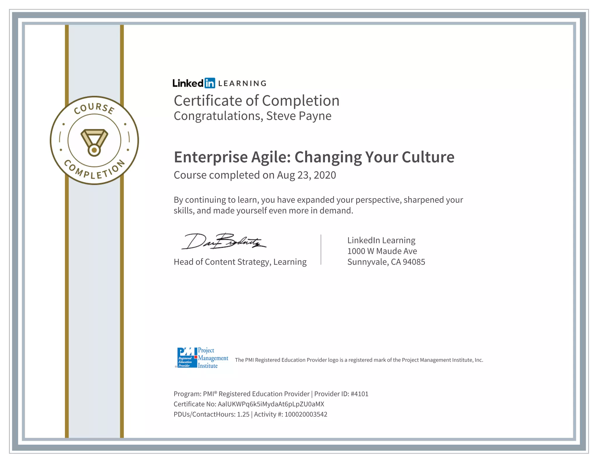 Certificate Of Completion Enterprise Agile Changing Your Culture | PDF