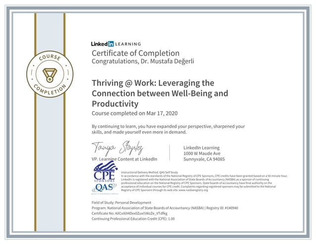 Dr. Mustafa Degerli - 2020 - Thriving Work Leveraging The Connection Between Well Being And ...