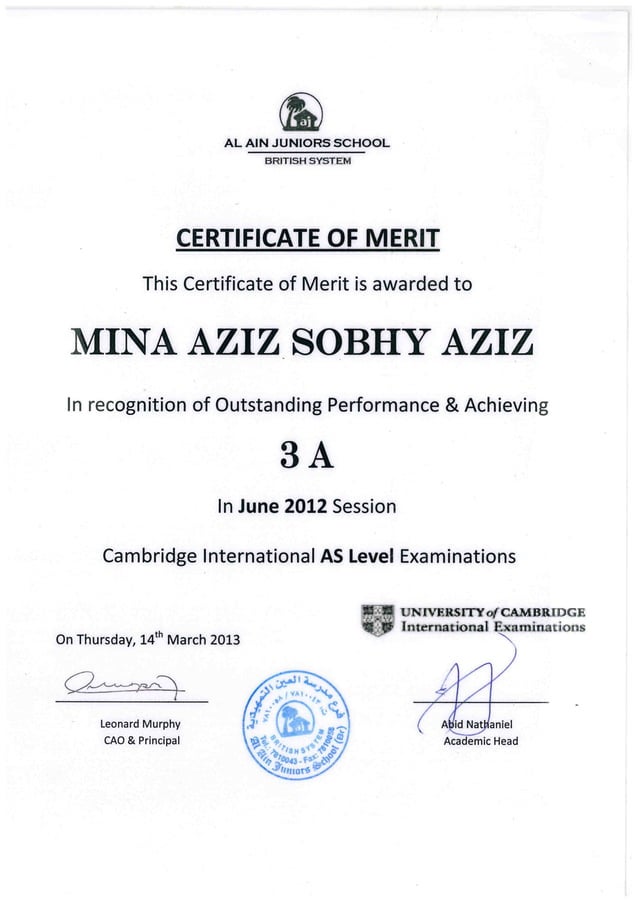 Certificate of Merit AS Level | PDF