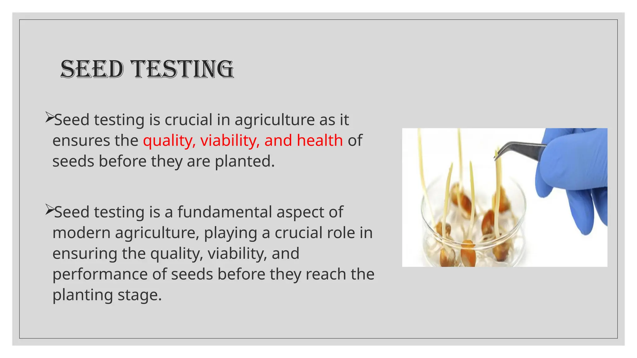 SEED TESTING AND SEED certification.pptx