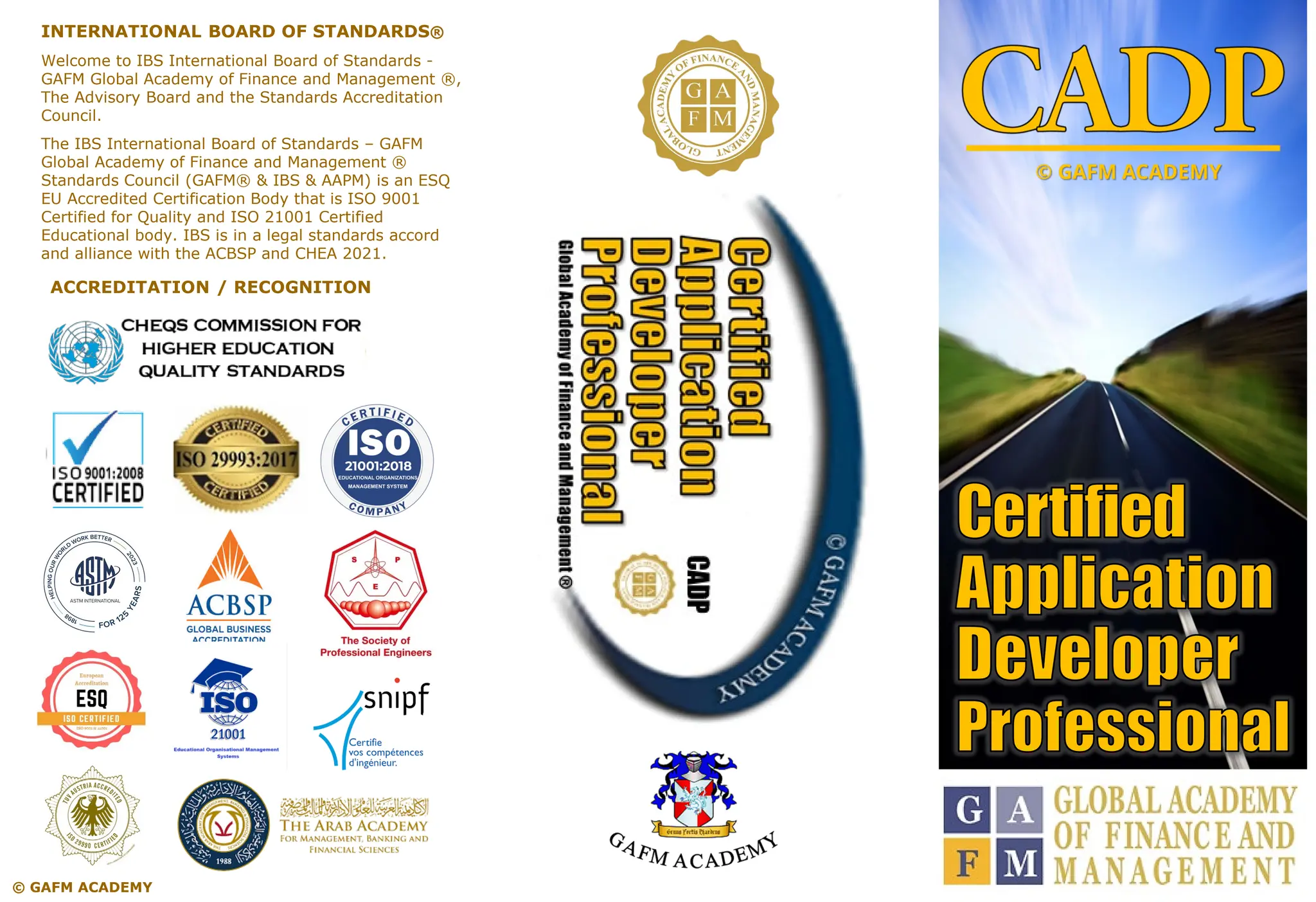 Certified Application Developer Professional CADP.pdf