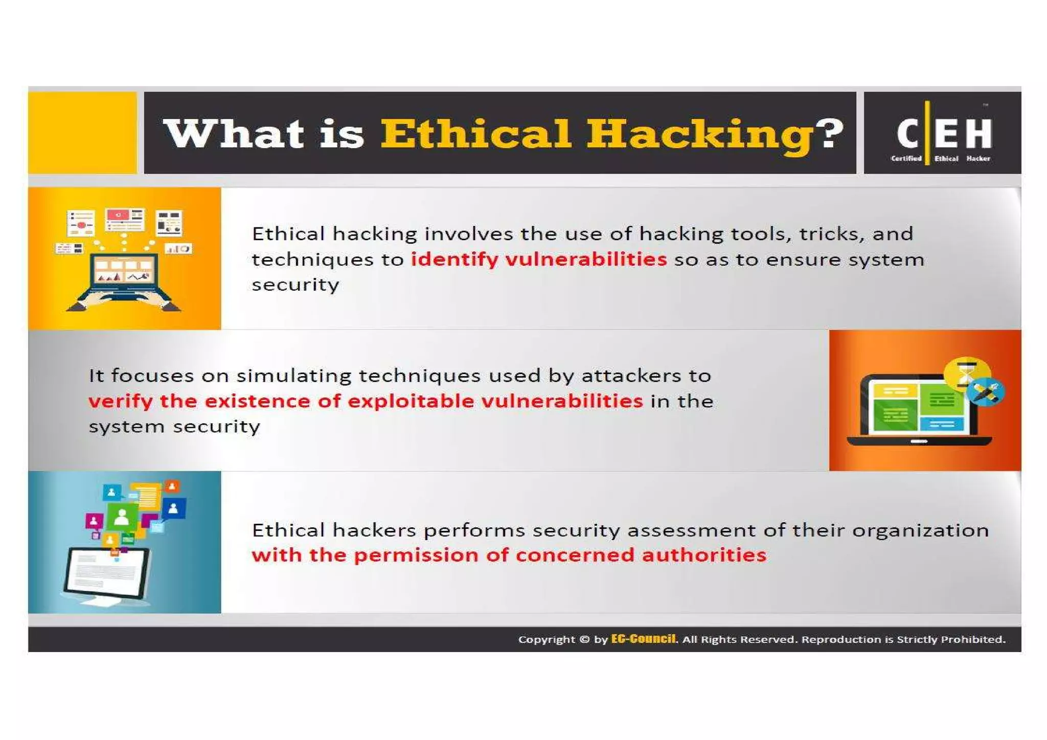 Certified Ethical Hacker v11 First Look.pdf | Information and Network ...