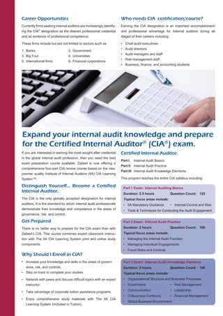 CIA (Certified Internal Auditor) | PDF