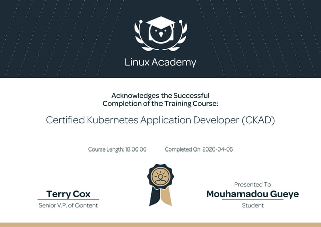 Certified kubernetes application developer (ckad) | PDF