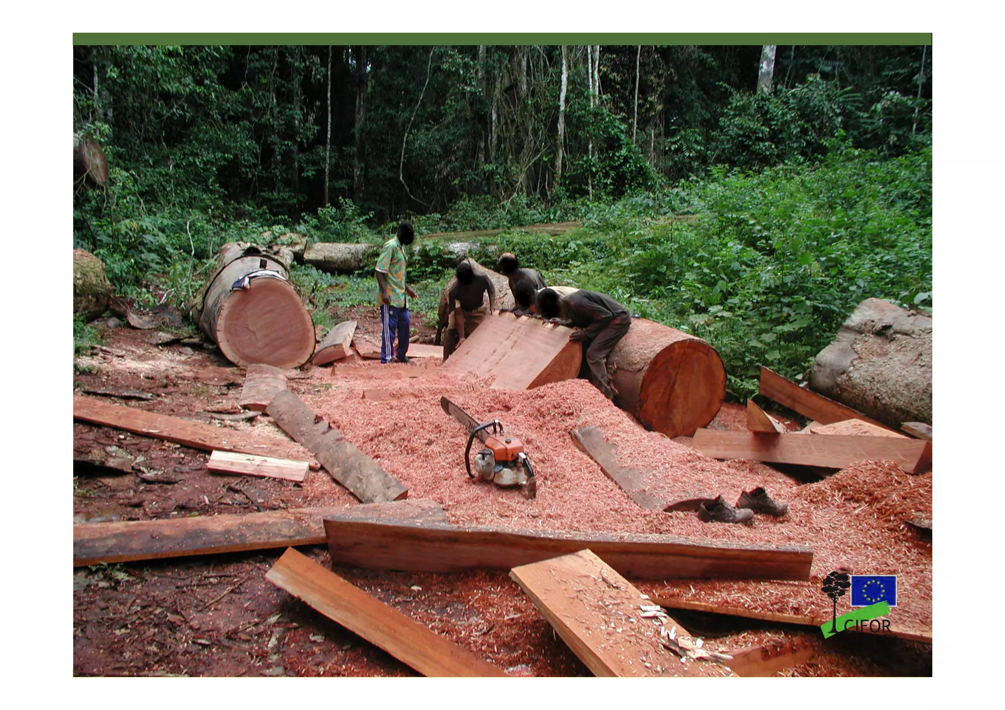 Formal rules, informal timber extraction, Central Africa and China | PPT