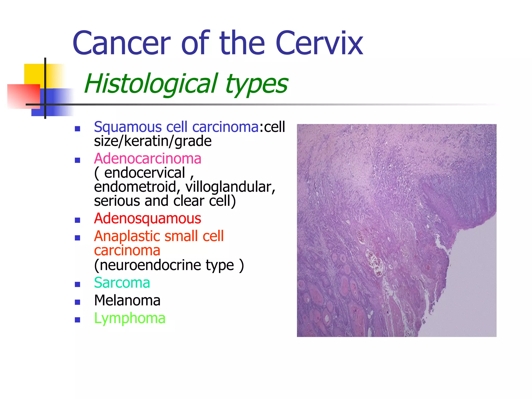 Cervical cancer | PDF | Cancer | Diseases and Conditions