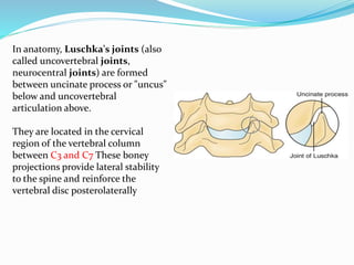 Cervical | PPT