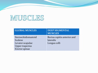 Cervical | PPT