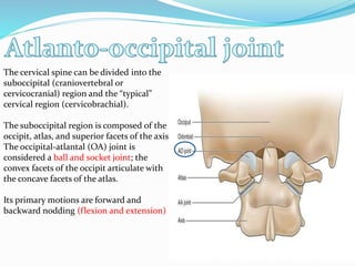 Cervical | PPT