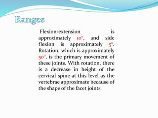 Cervical | PPT