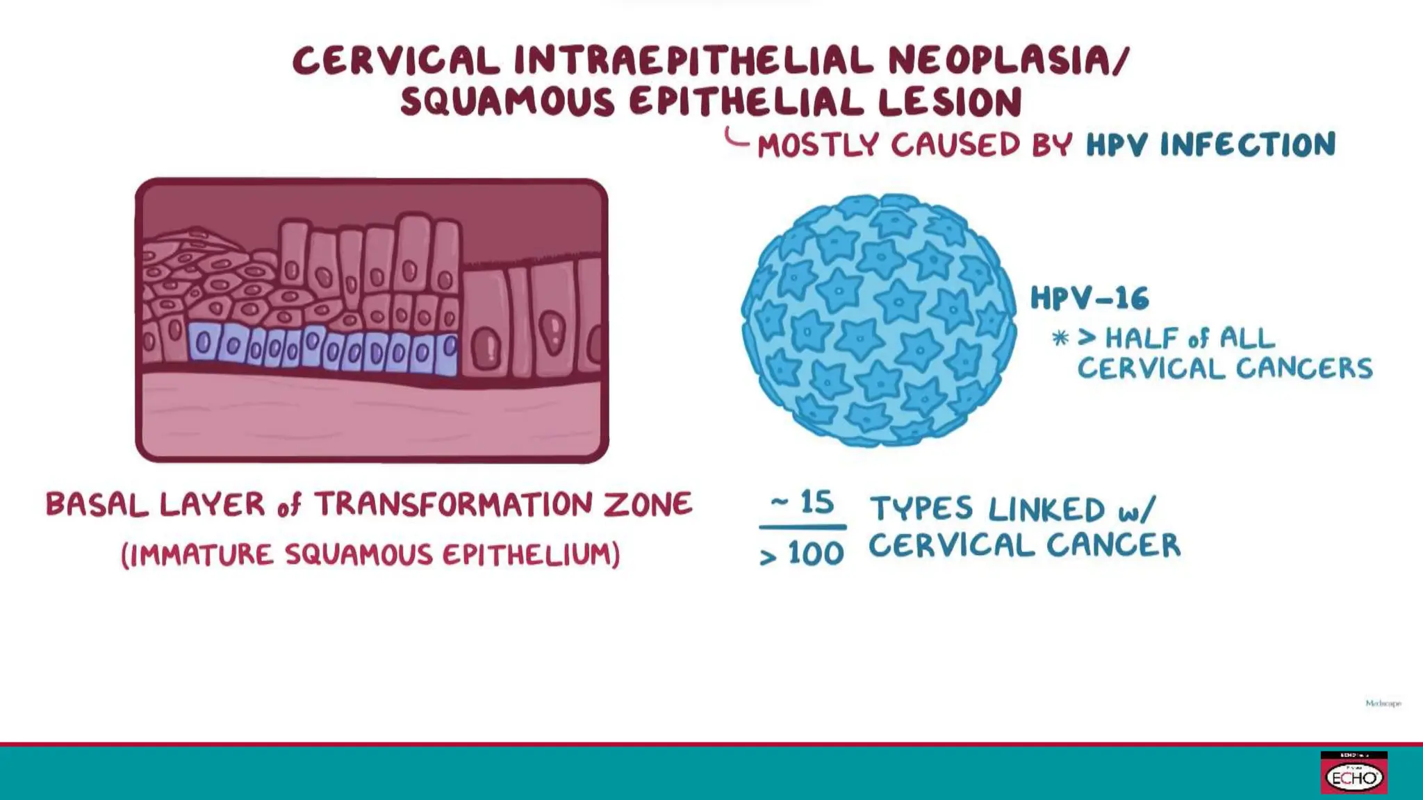 CERVICAL-CANCER-introduction, screening and prevention | PPTX