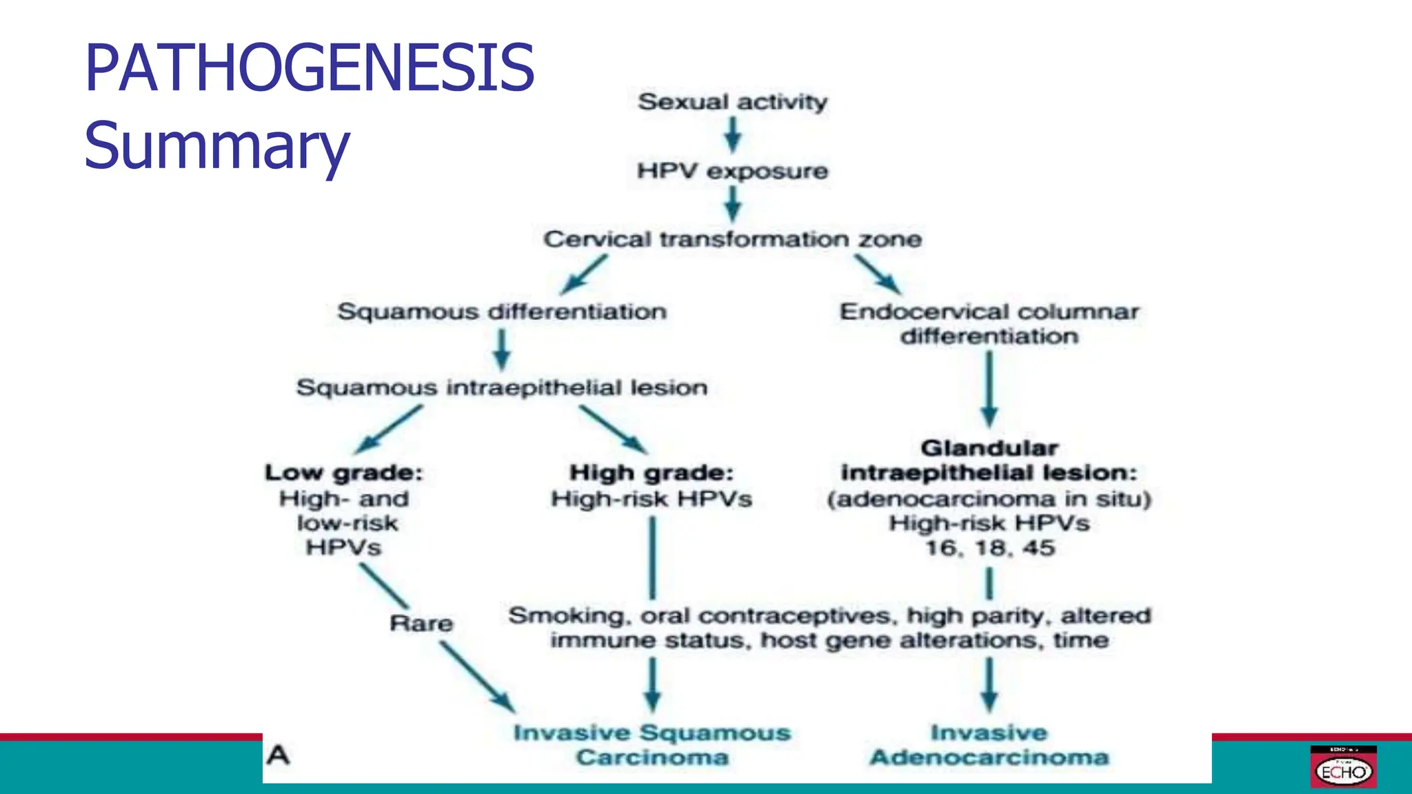 CERVICAL-CANCER-introduction, screening and prevention | PPTX