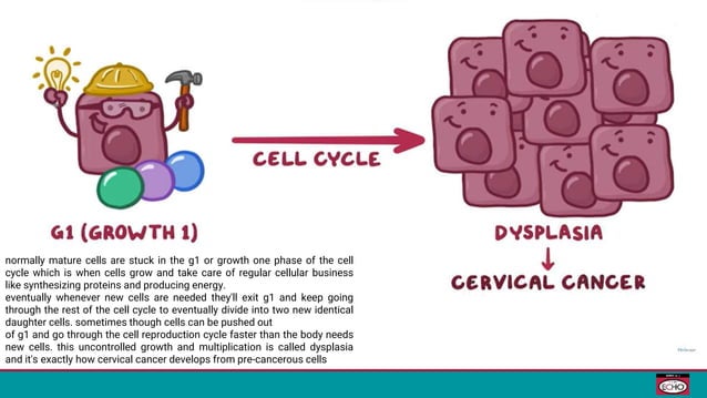 CERVICAL-CANCER-introduction, screening and prevention | PPTX