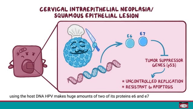 CERVICAL-CANCER-introduction, screening and prevention | PPTX