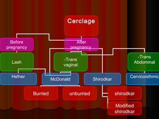 Cervical incompetence | PPT