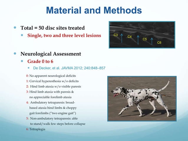 Cervical arthroplasty a non fusion technique for daws in dogs - power ...