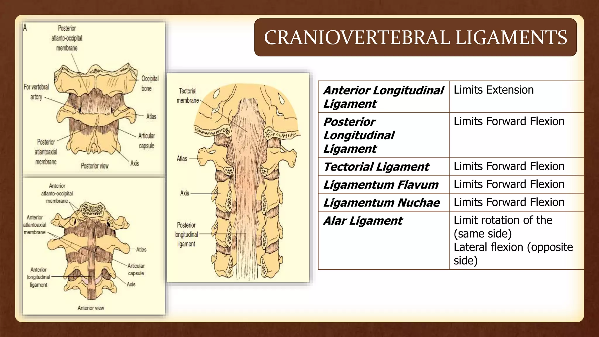CERVICAL BIOMECHANICS.pptx