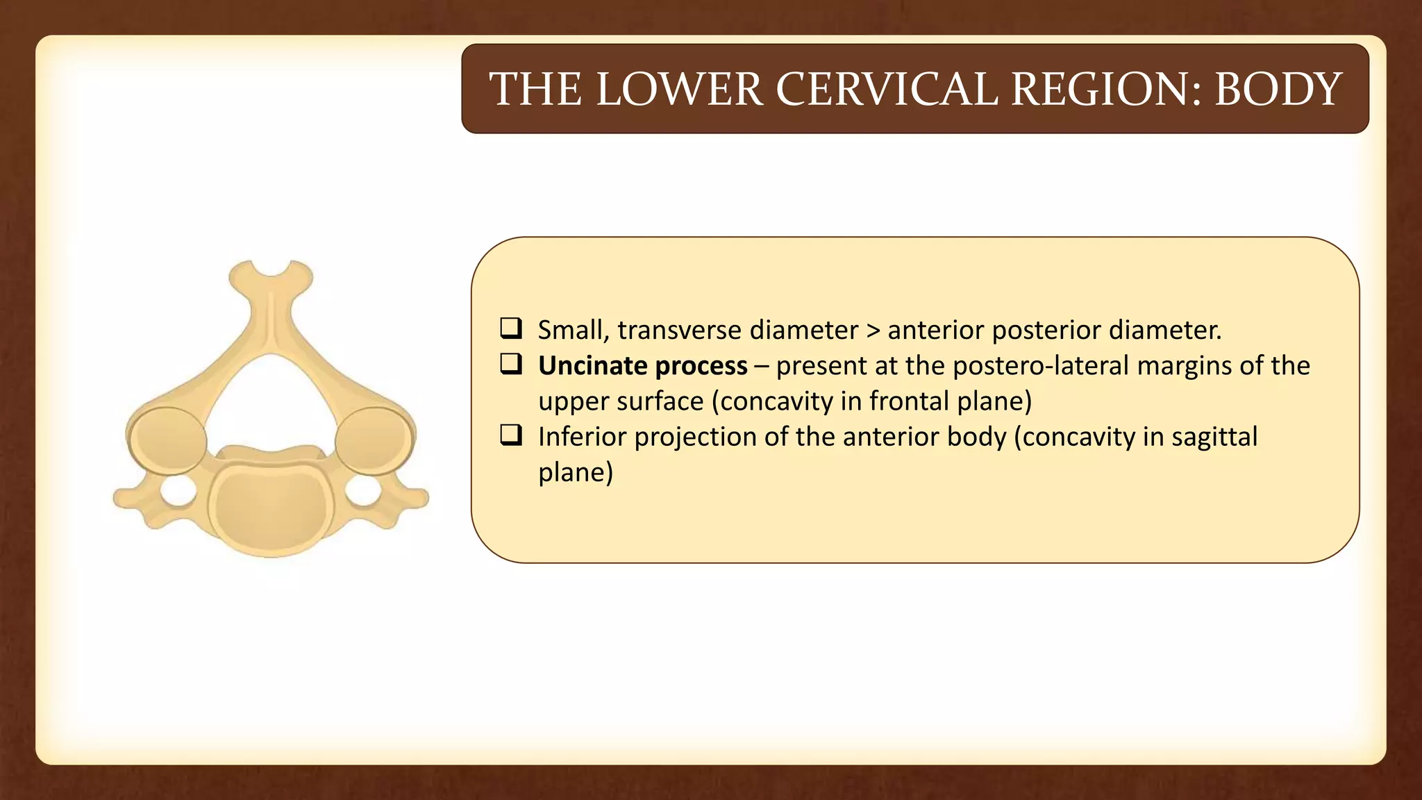 CERVICAL BIOMECHANICS.pptx