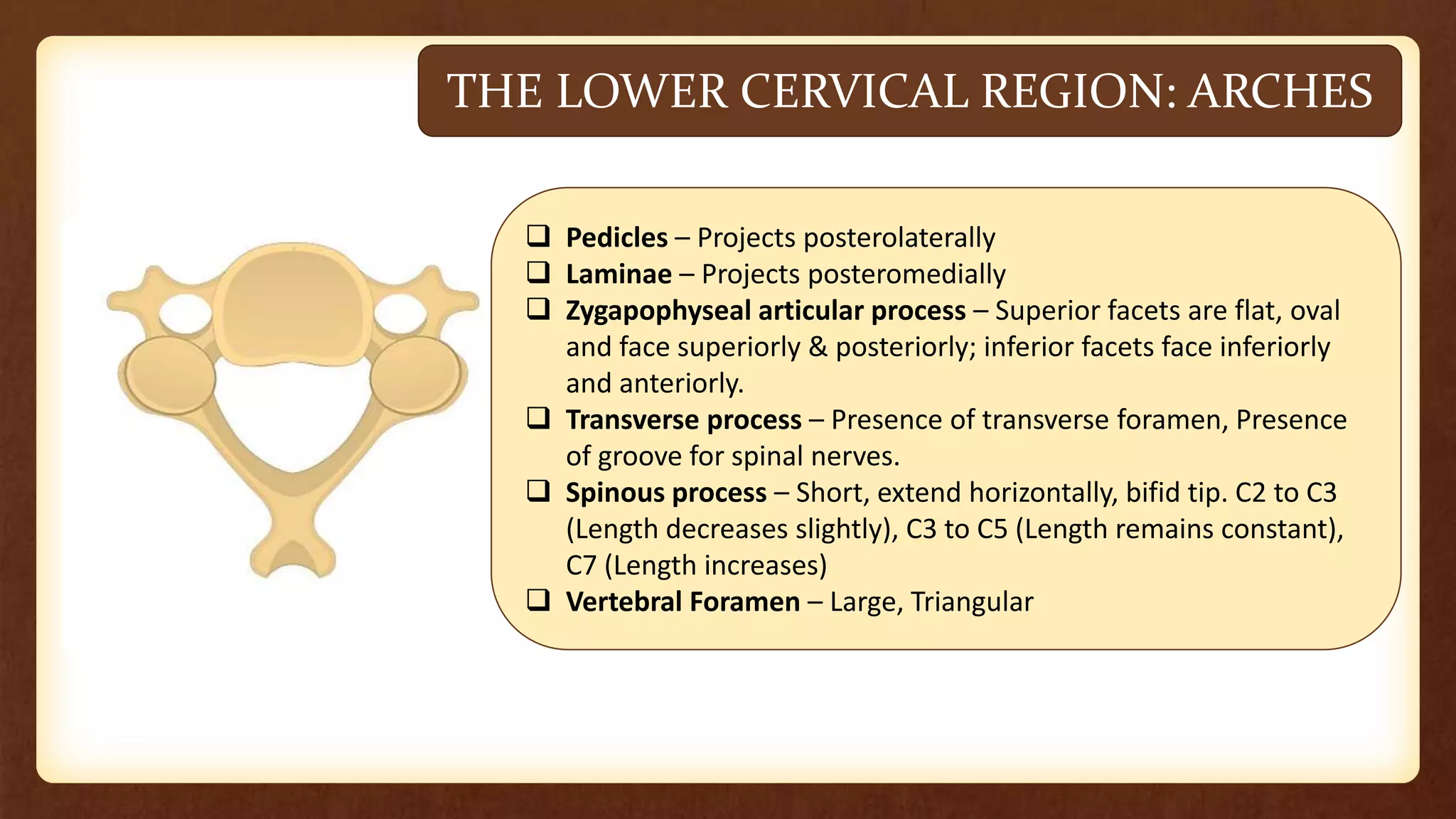 CERVICAL BIOMECHANICS.pptx