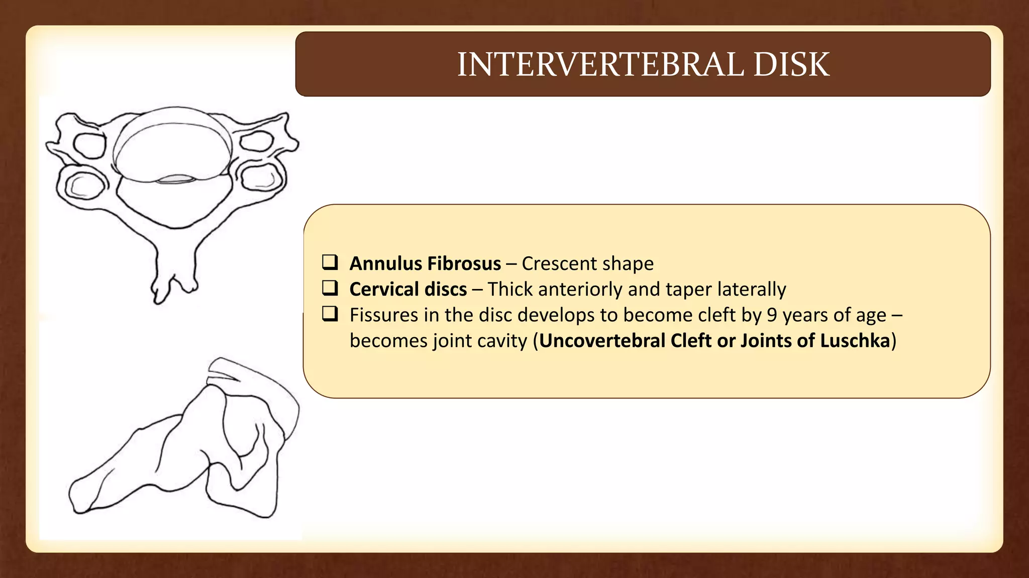 CERVICAL BIOMECHANICS.pptx