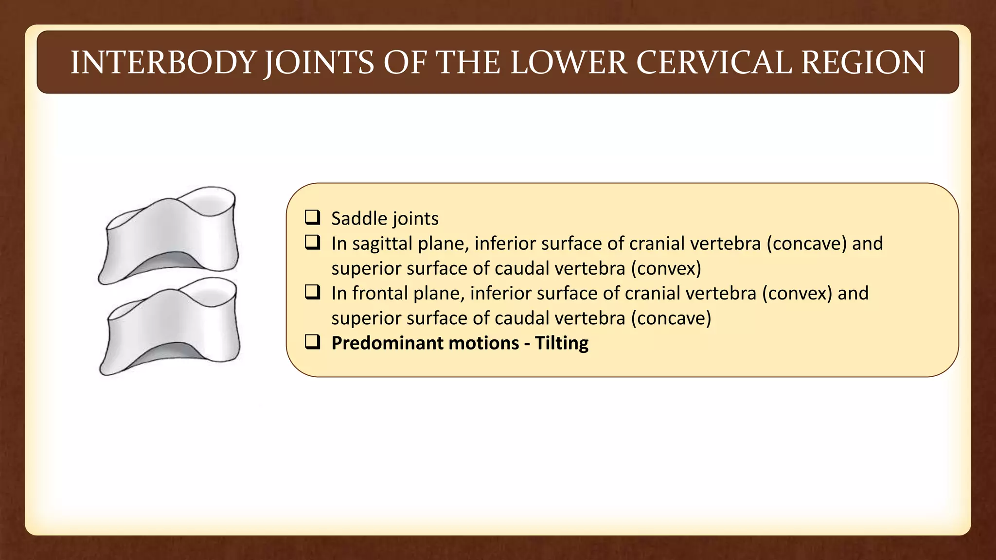 CERVICAL BIOMECHANICS.pptx