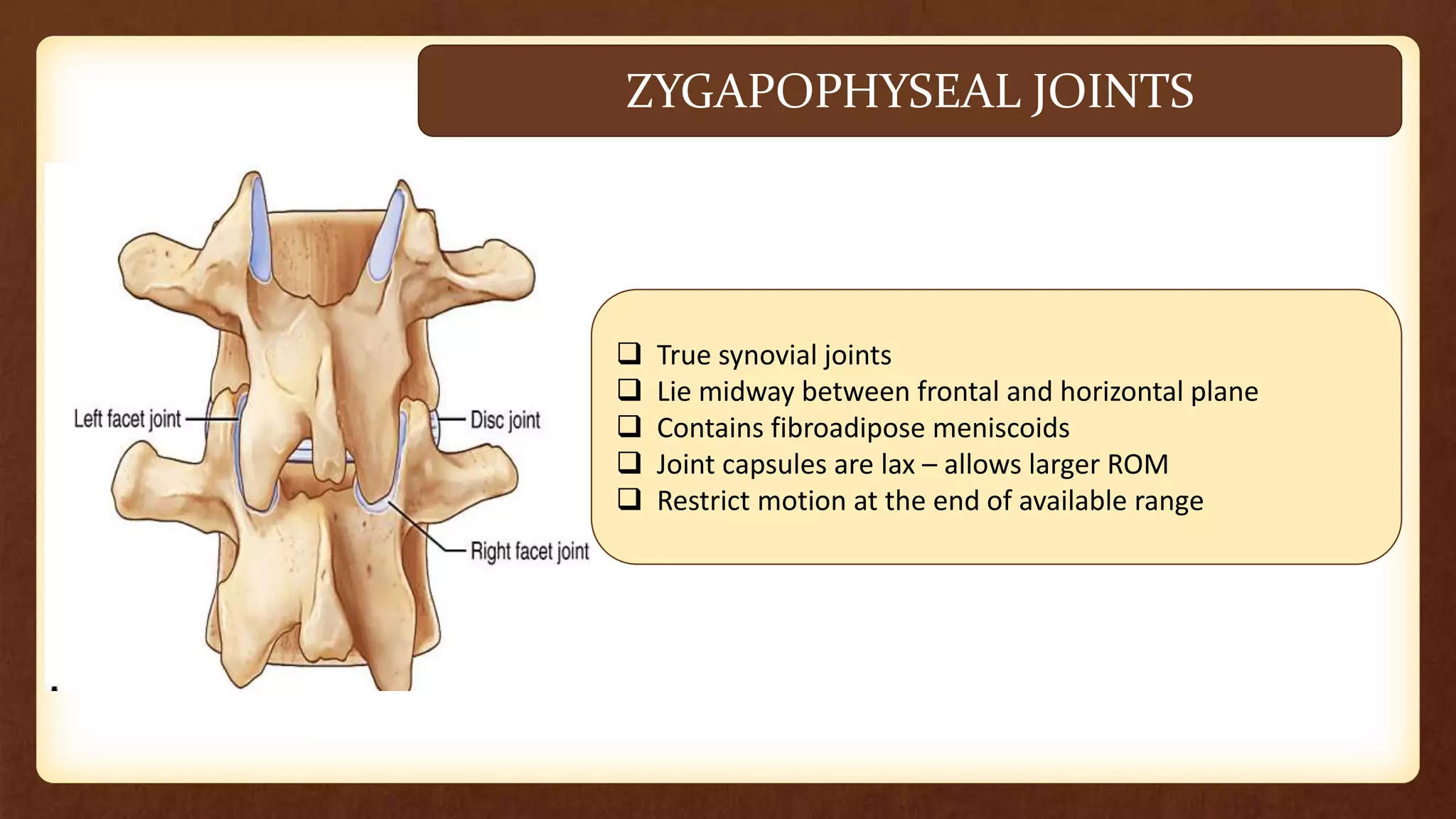 CERVICAL BIOMECHANICS.pptx