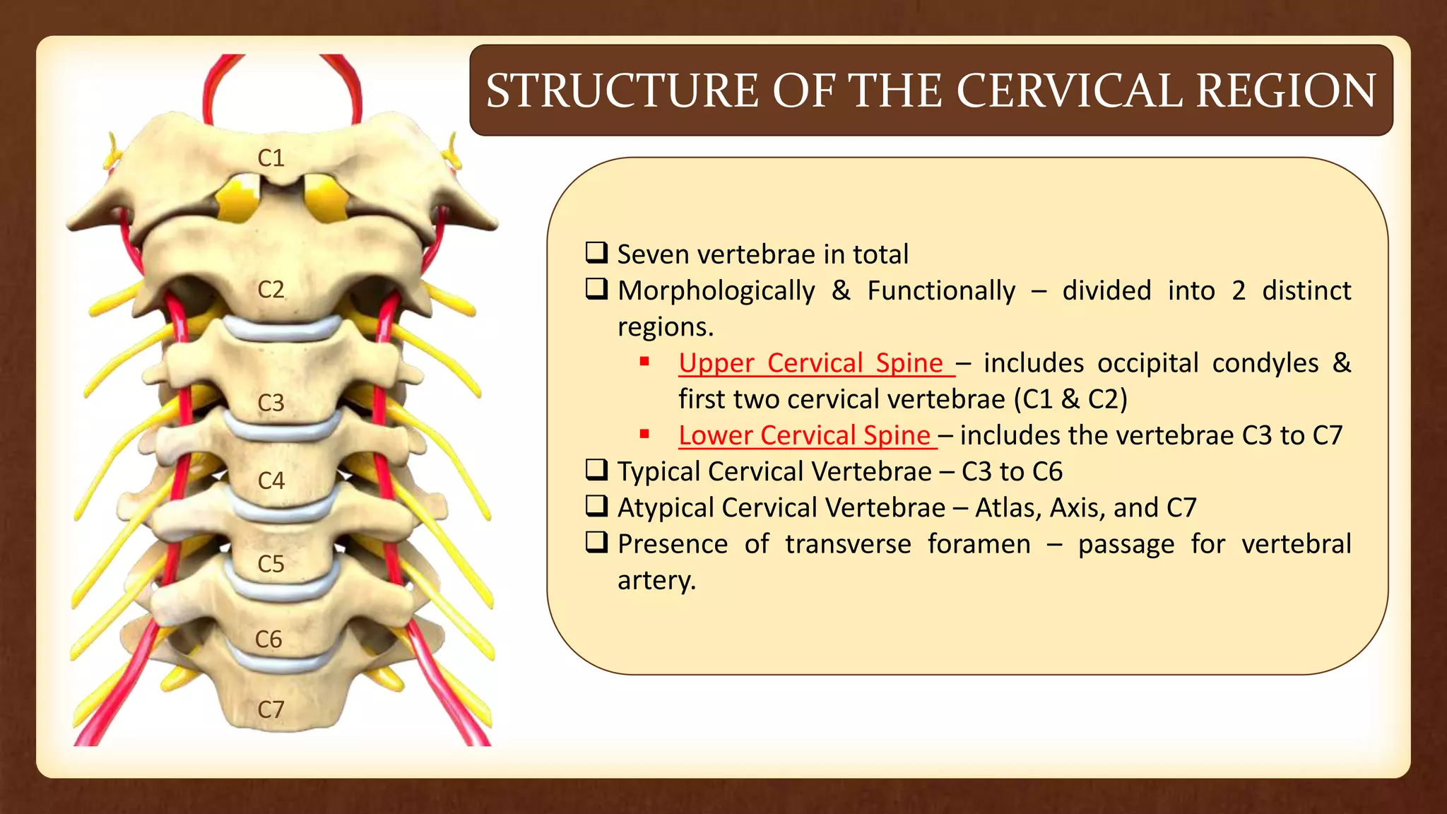 CERVICAL BIOMECHANICS.pptx