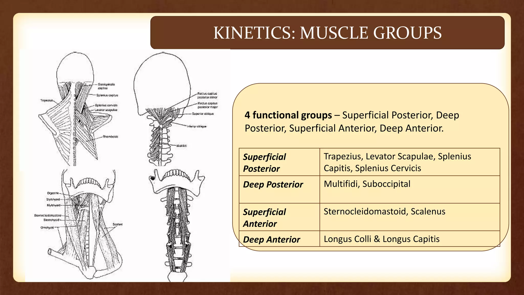 CERVICAL BIOMECHANICS.pptx
