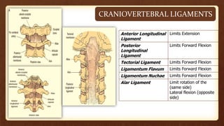CERVICAL BIOMECHANICS.pptx
