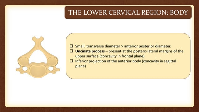 CERVICAL BIOMECHANICS.pptx