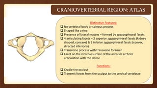 CERVICAL BIOMECHANICS.pptx