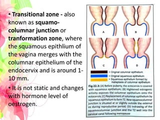 Cervical Biopsy - Obstetrics & Gynaecology | PPTX
