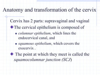 cervical cancer.ppt by Dr. Rabirra Waktola | PPT