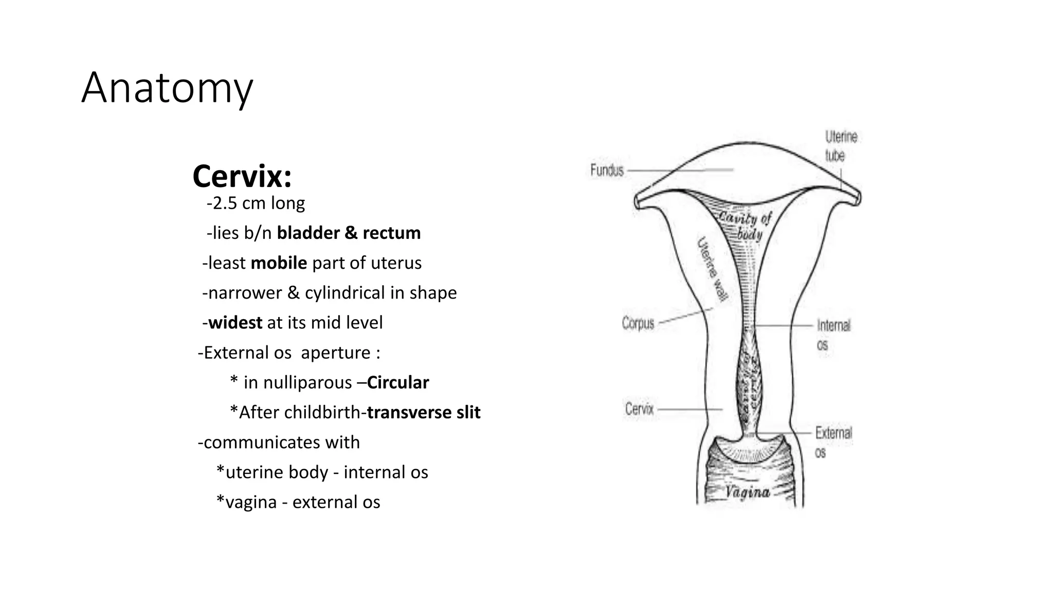 cervical cancer conformal radiotherapy planning (3D CRT) | PPTX