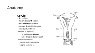 cervical cancer conformal radiotherapy planning (3D CRT) | PPTX