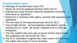 CERVICAL CANCER-1.pptx | Cancer | Diseases and Conditions