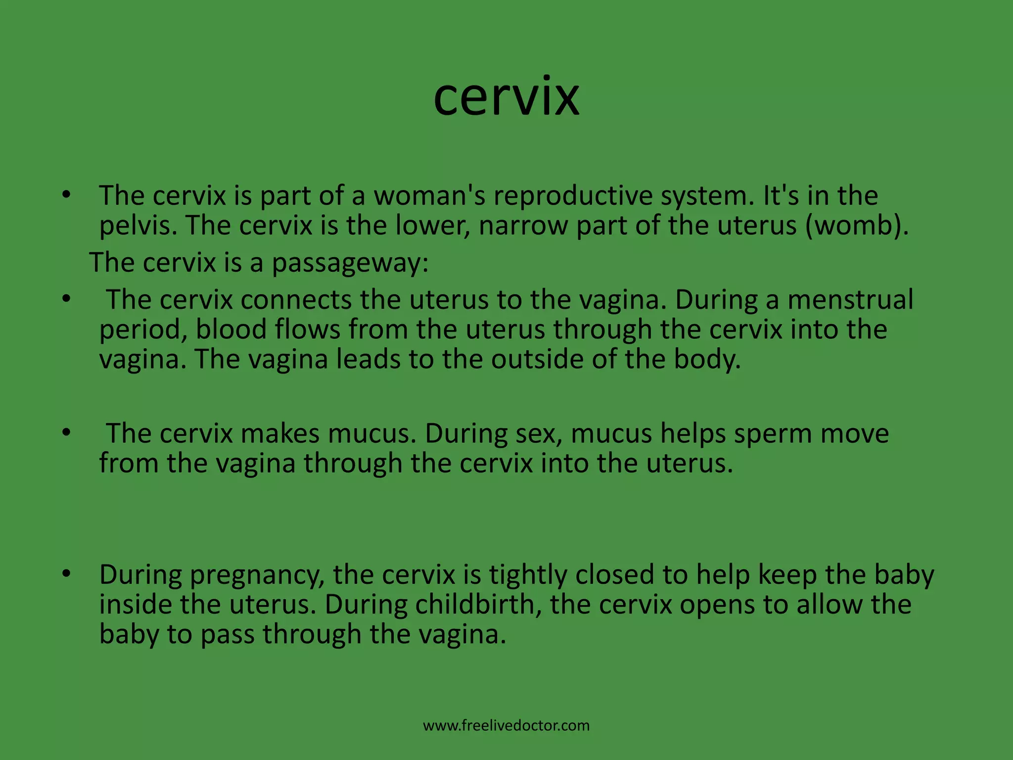 Cervical cancer | PPTX